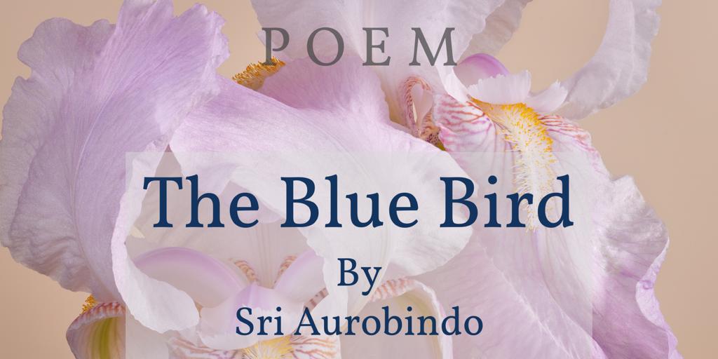 'The Blue Bird' - poem by Sri Aurobindo